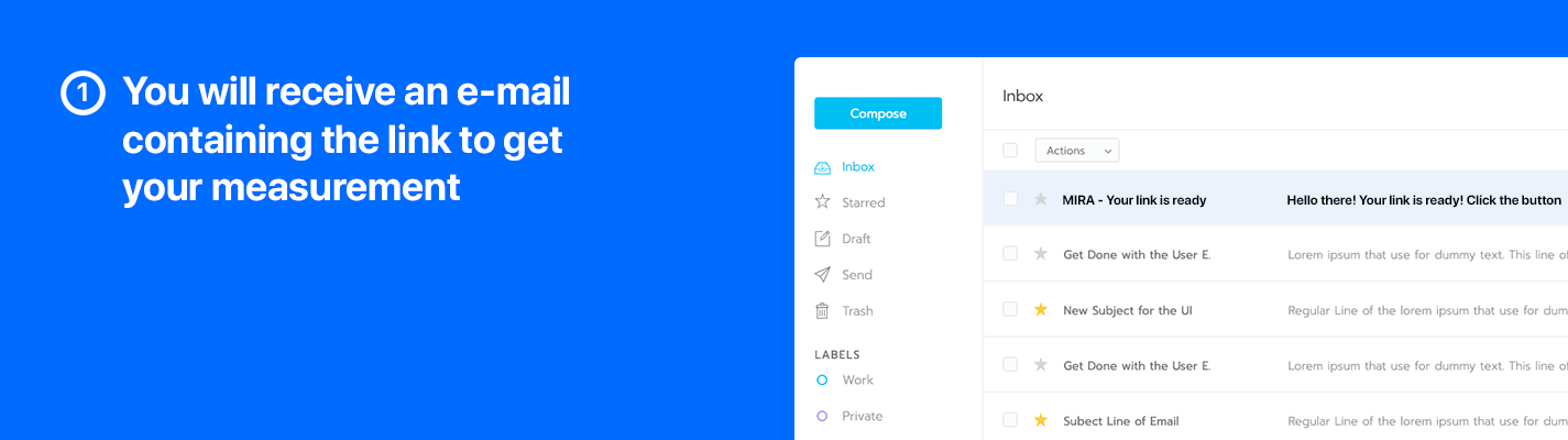 Mira Digital Assessment